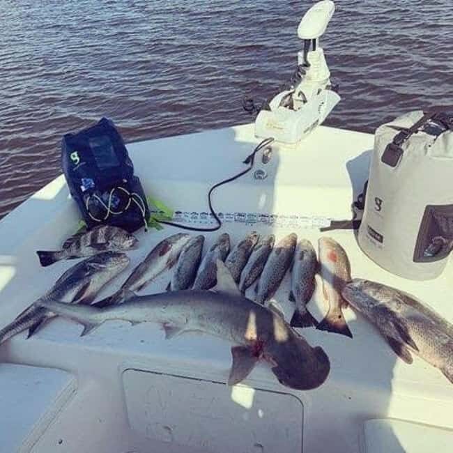 Tarpon Springs: Private Guided Gulf of Mexico Fishing Tour - How This Tour Offers Value for Your Money