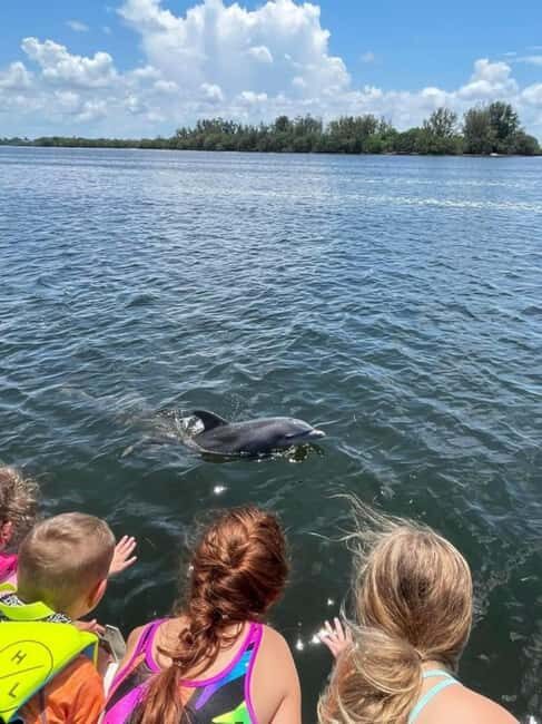 Tarpon Springs: Private Island Tour & Dolphin Cruise - What to Expect from the Tour