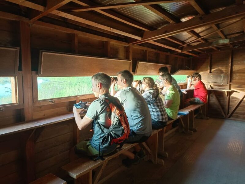 Tarragona: Southern Delta Birdwatching Private Tour - What to Expect and Practical Details