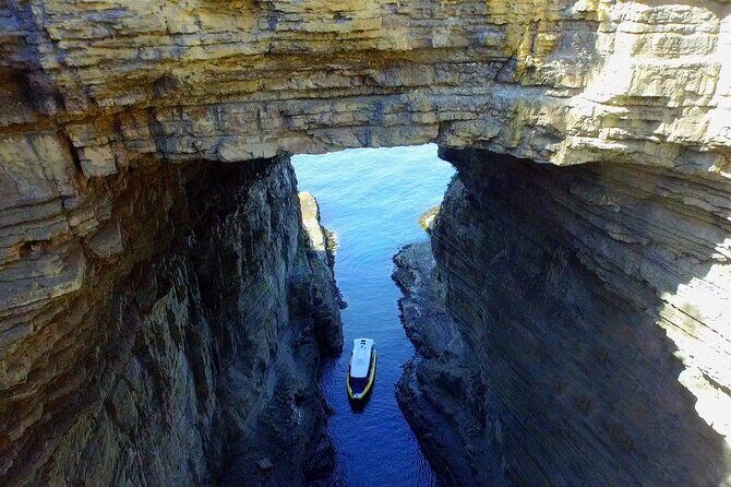 Tasman Island Cruises Day Tour from Hobart - Key Points