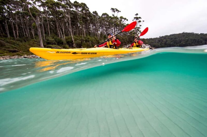 Tasman Peninsula Full-Day Sea Kayak Excursion - Key Points