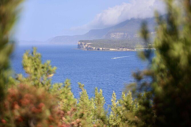Tasman Peninsula Small-Group Guided Tour From Hobart - Lavender and Local Food Experience