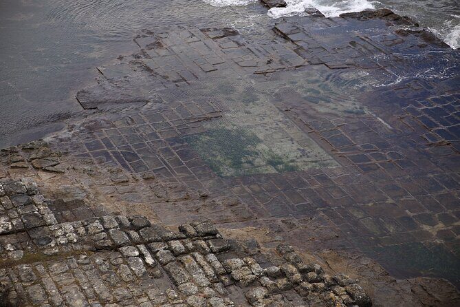 Tasman Peninsula Small-Group Guided Tour From Hobart - Final Reflections and Return