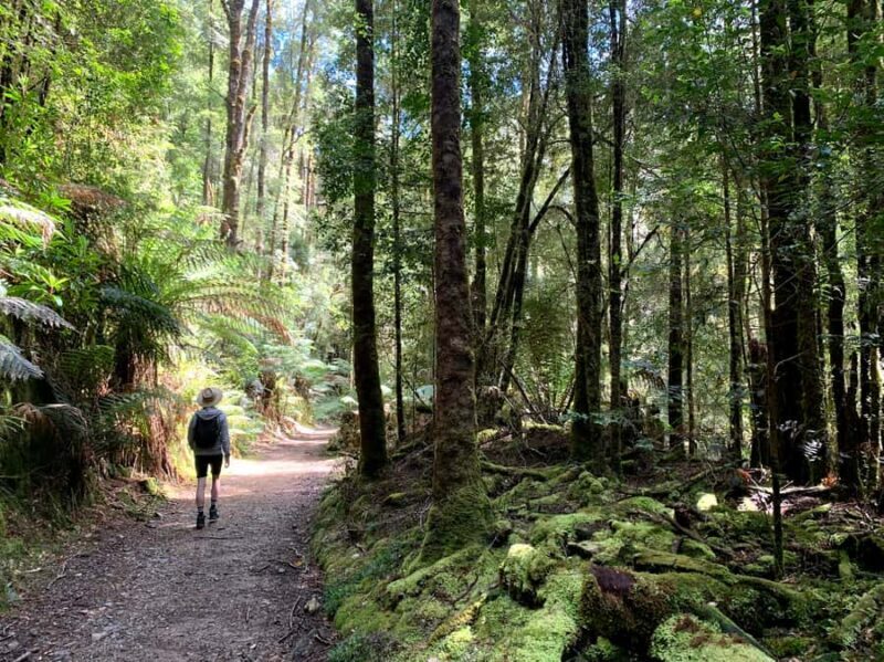 Tasmania: 7-Day West to East Tour - The Sum Up