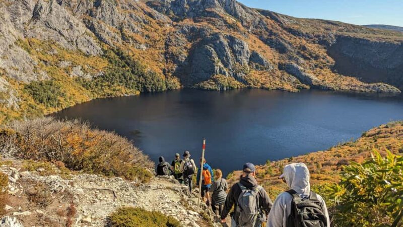 Tasmania: Wilderness and Wildlife Guided 6-Day Tour - Key Points