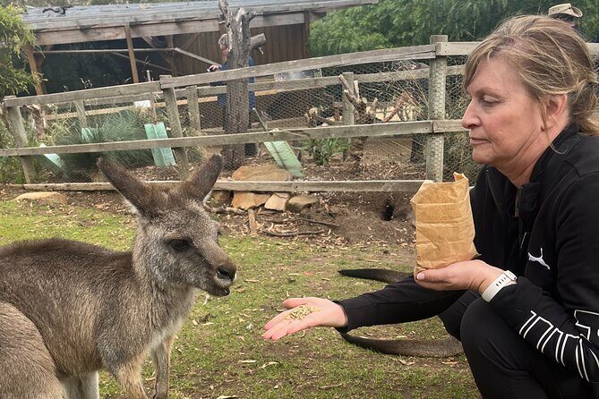 Tasmanian Local Private Guiding Service. - The Bottom Line