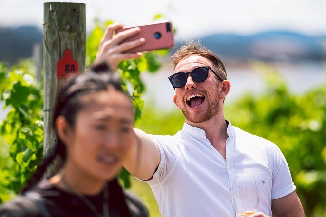 Tasmanian Premium Wine Tour with Tasmanian Cheese Platter - The Sum Up