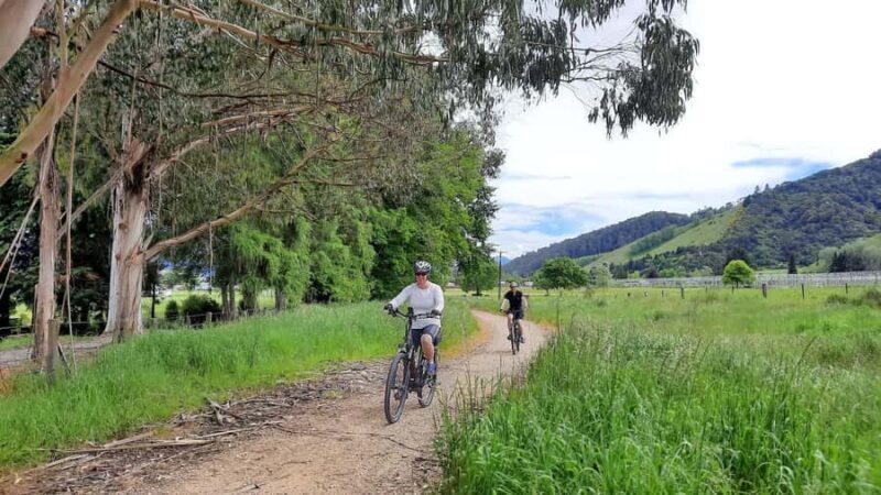 Tasman's Great Taste Trail: Spooner's Tunnel to Thunanui - Who Is This Tour Best For?