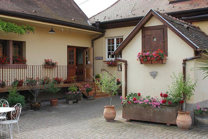 Taste Alsace: Tasting of our Alsace wines - No cellar tour - An Honest Look at the Experience