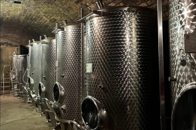 Taste and Tour Small Organic Wineries with a Winemaker - Who Would Love This Tour?