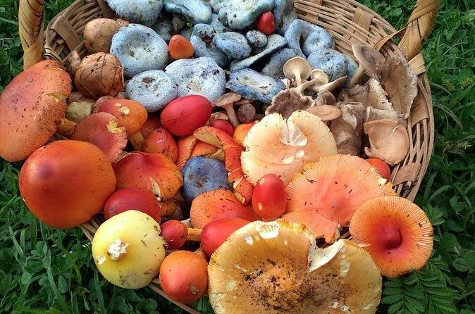 Taste and Tradition Acaxochitlán Culinary Tour from Mexico City - Cultural and Archaeological Exploration