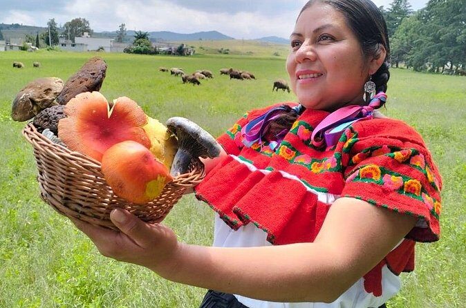 Taste and Tradition Acaxochitlán Culinary Tour from Mexico City - The Return Journey