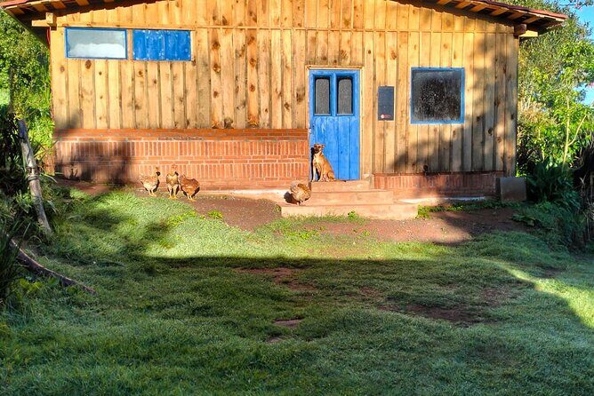 Taste and Tradition Acaxochitlán Culinary Tour from Mexico City - Logistics and Practical Tips