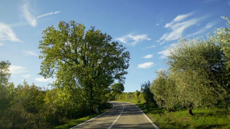 Taste Chianti, Montalcino & Montepulciano  Minivan Day Tour - Transport & Group Size