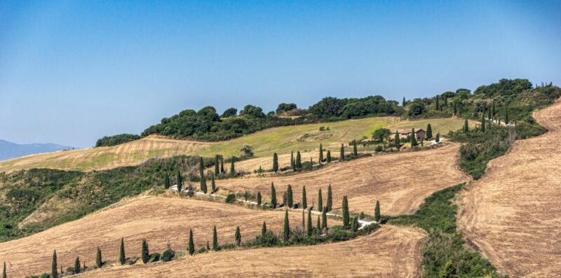 Taste Chianti, Montalcino & Montepulciano  Minivan Day Tour - The Sum Up