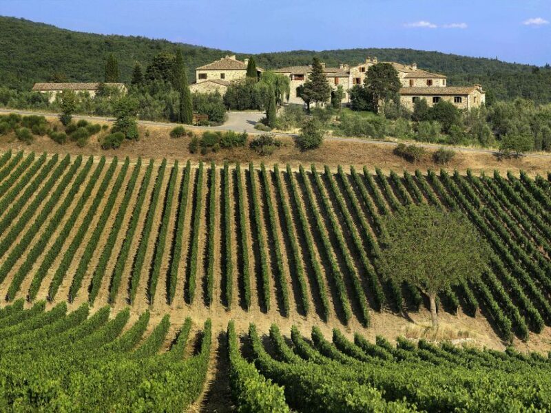 Taste Chianti, Montalcino & Montepulciano  Minivan Day Tour - FAQs