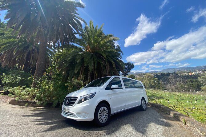 Taste Gran Canaria's unique wines - Taste Gran Canarias Unique Wines