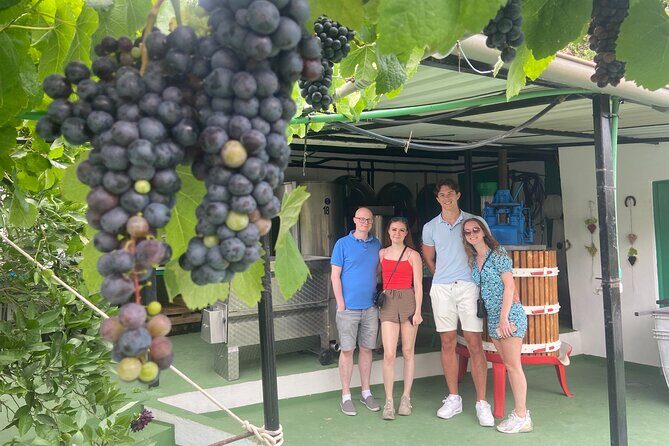 Taste Gran Canaria's unique wines - FAQ