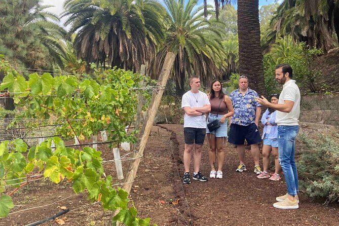 Taste Gran Canaria's unique wines - Final Thoughts