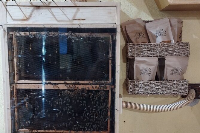 Taste of Korcula Tour | Korcula Wine & Food Tasting - A Complete Breakdown of the Tour Experience