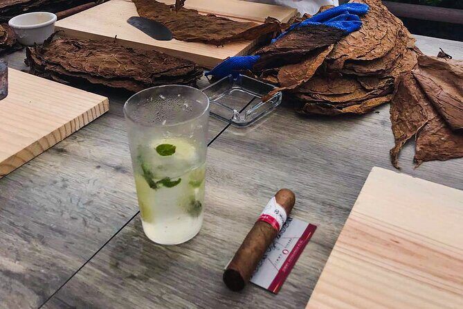 Taste of Mexico: Rolling Cigar & Tequila Experience with transfer - The Sum Up: Who Is This Tour Best For?