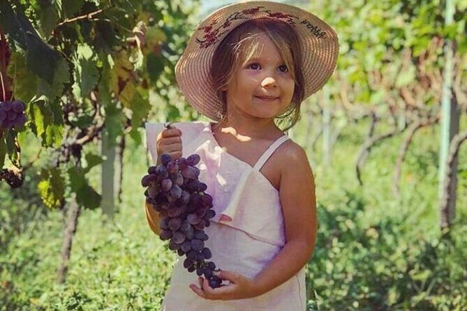 TASTE OF MONTENEGRO - Gastro Private Tour of wine and food - Key Points