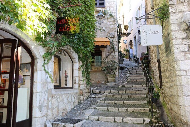 Taste of Provence, Countryside Villages - Half Day Private Tour - What the Reviews Say
