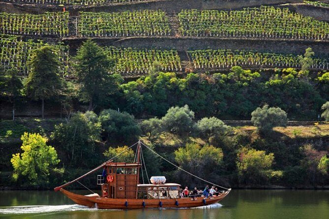 Taste the Douro - Vintage Experience - Who Will Love This Tour?