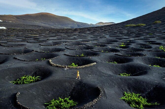 Taste Tradition 4 Wineries and Tapas Bar - An Authentic, Well-Rounded Wine Tour