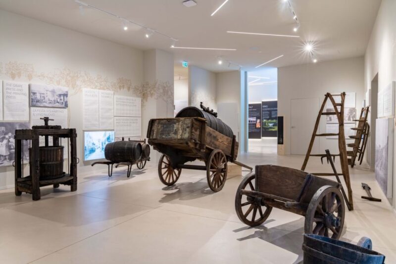 Taste with us Bardolino, Chiaretto and Lugana near Verona - Taste with us Bardolino, Chiaretto and Lugana near Verona