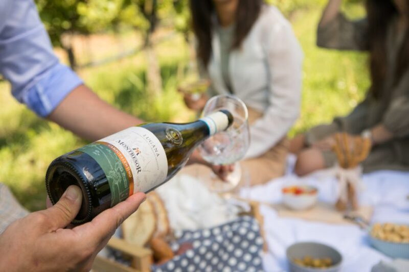 Taste with us Bardolino, Chiaretto and Lugana near Verona - Exploring the Details of the Wine Tasting Experience