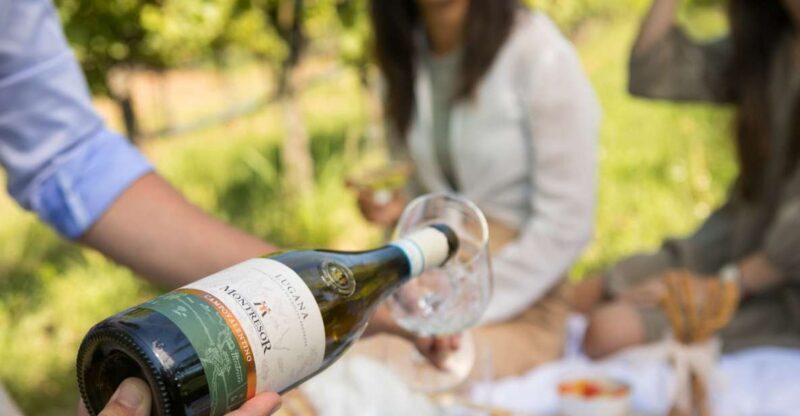 Taste with us Bardolino, Chiaretto and Lugana near Verona - Analyzing Value and Practical Details