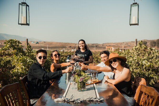 Tasting and tour through the vineyard - Who Is This Tour Best For?