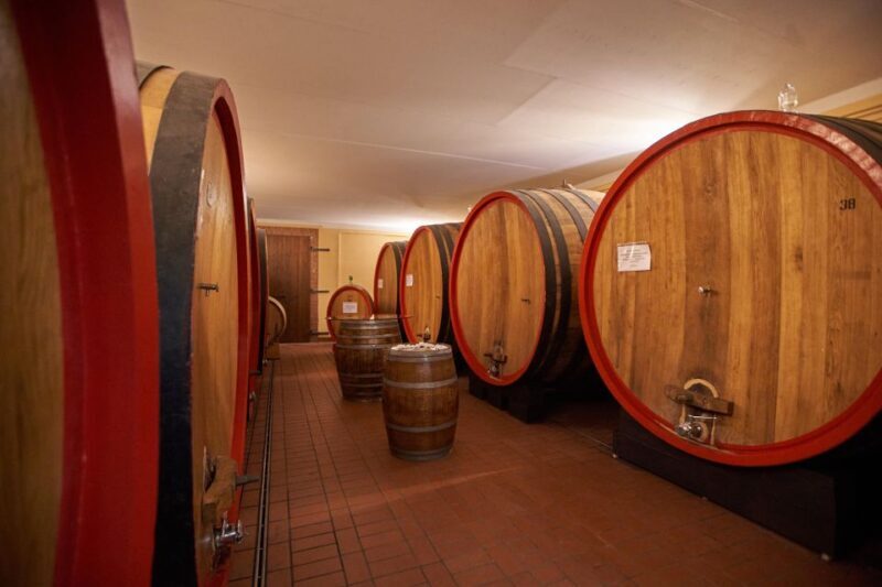 Tasting and Tour Vino Nobile di Montepulciano - Who Will Love This Experience?
