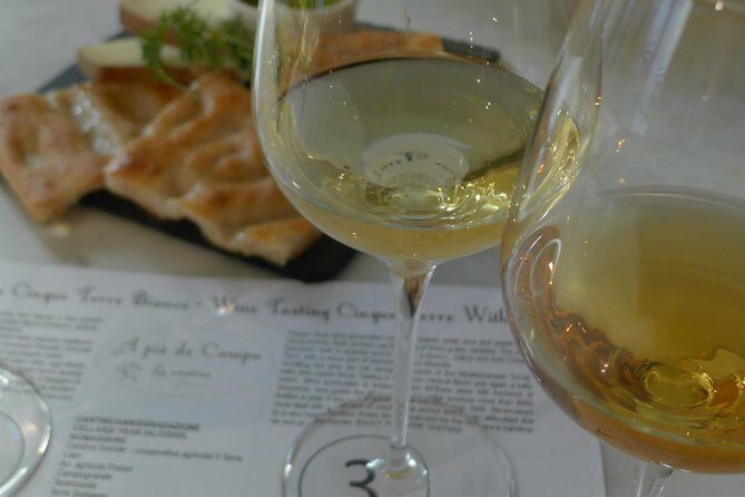 tasting and walk among the vineyards of the Cinque Terre - What to Expect from the Tour