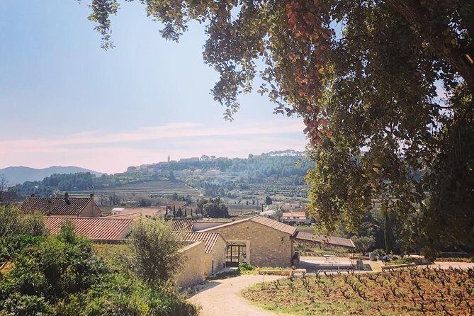 Tasting Bandol Wines & Visit of Cellar (in English) - The Vineyard: Domaine Lou Capelan and Its Charm