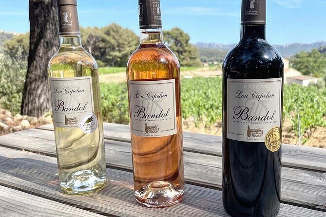 Tasting Bandol Wines & Visit of Cellar (in English) - The Verdict: Is This Tour Worth It?