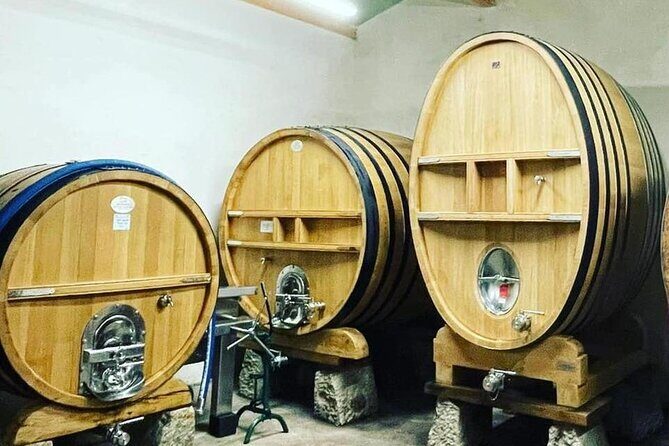 Tasting Bandol Wines & Visit of Cellar (in English) - Who Will Love This Tour? 