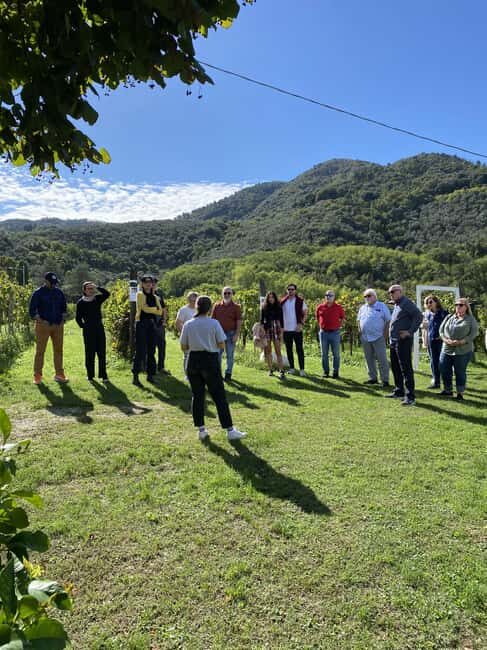 Tasting in a Tuscan Vineyard with transfer from Lucca - FAQ
