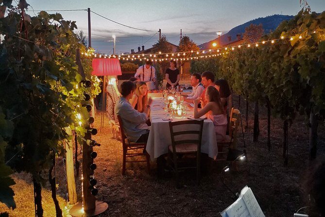 Tasting in a Tuscan Vineyard with transfer from Lucca - Key Points