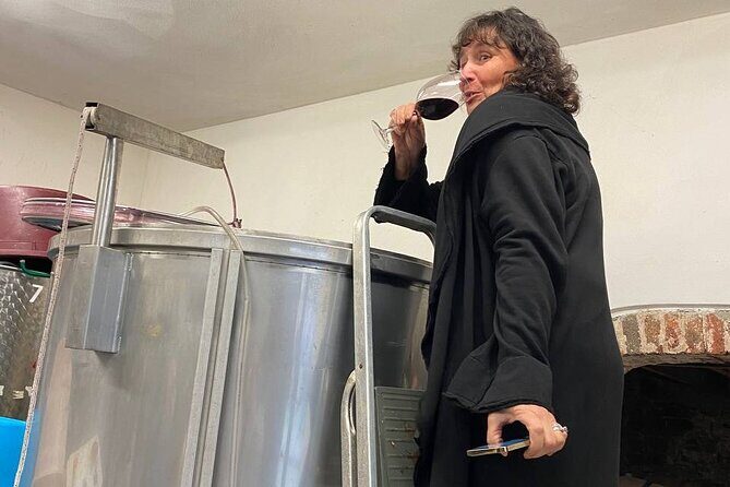 Tasting in a Tuscan Vineyard with transfer from Lucca - The Experience in Practice: What Travelers Say