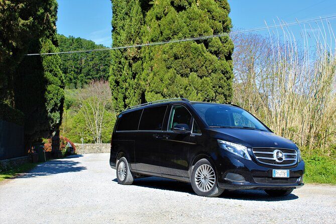 Tasting in a Tuscan Vineyard with transfer from Lucca - FAQ