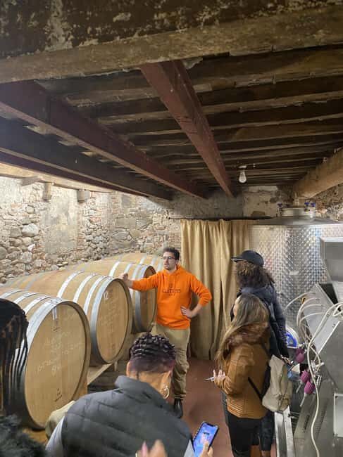 Tasting in a Tuscan Vineyard with transfer from Pisa - Small Group & Personalized Feel  