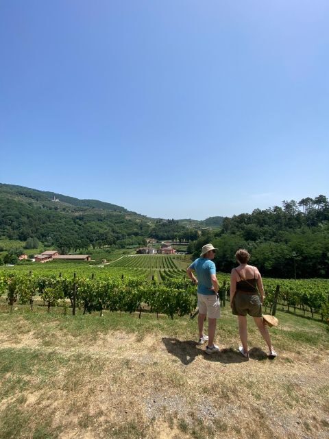 Tasting in a Tuscan Vineyard with transfer from Pisa - Practical Tips for Potential Travelers  