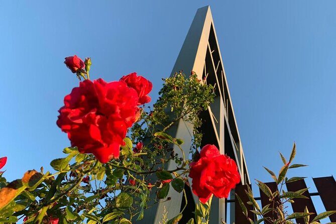Tasting in the cellar - Who Would Love This Tour?