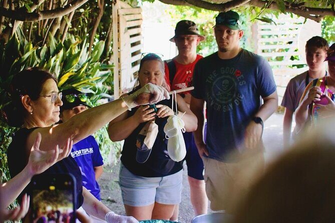 Tasting Limoncello, Oil and Typical Products in Farmhouse - FAQs