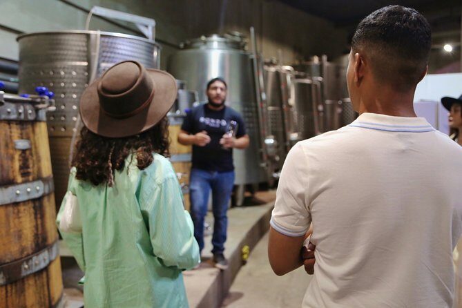 Tasting of 5 wines and tour at the winery Rondo del Valle - An Authentic Look at Rondo del Valle in Valle de Guadalupe