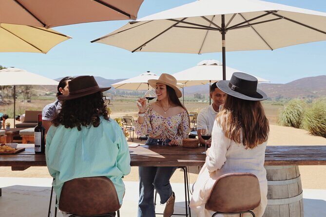 Tasting of 5 wines and tour at the winery Rondo del Valle - Pricing and Value