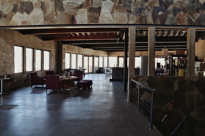 Tasting of 5 wines and tour at the winery Rondo del Valle - Who Will Love This Tour?