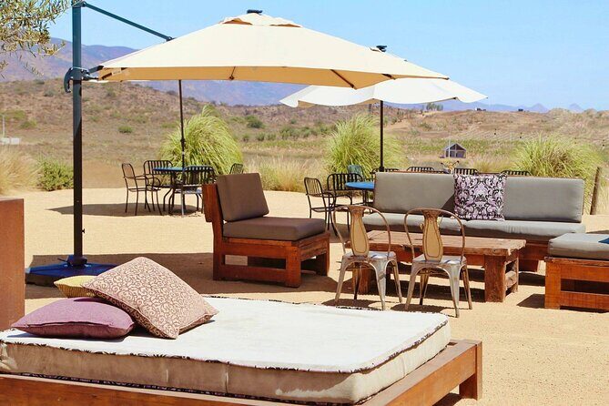 Tasting of 5 wines and tour at the winery Rondo del Valle - Final Thoughts: Why Choose Rondo del Valle?